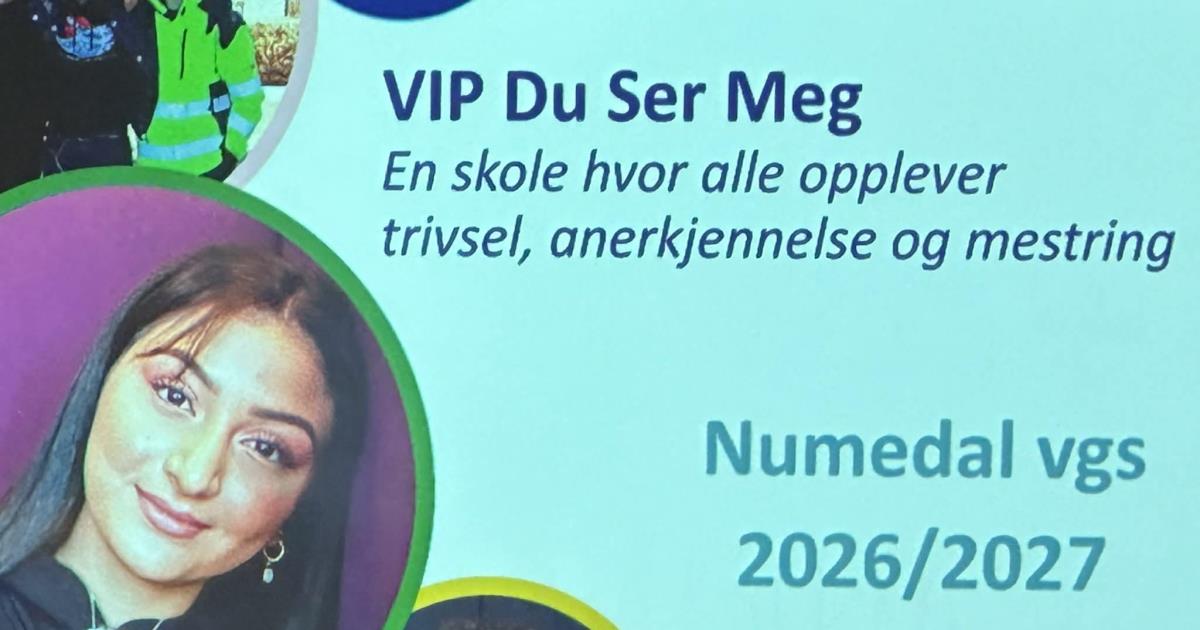 VIP Du Ser Meg- En skole hvor alle opplever trygghet, anerkjennelse og ...