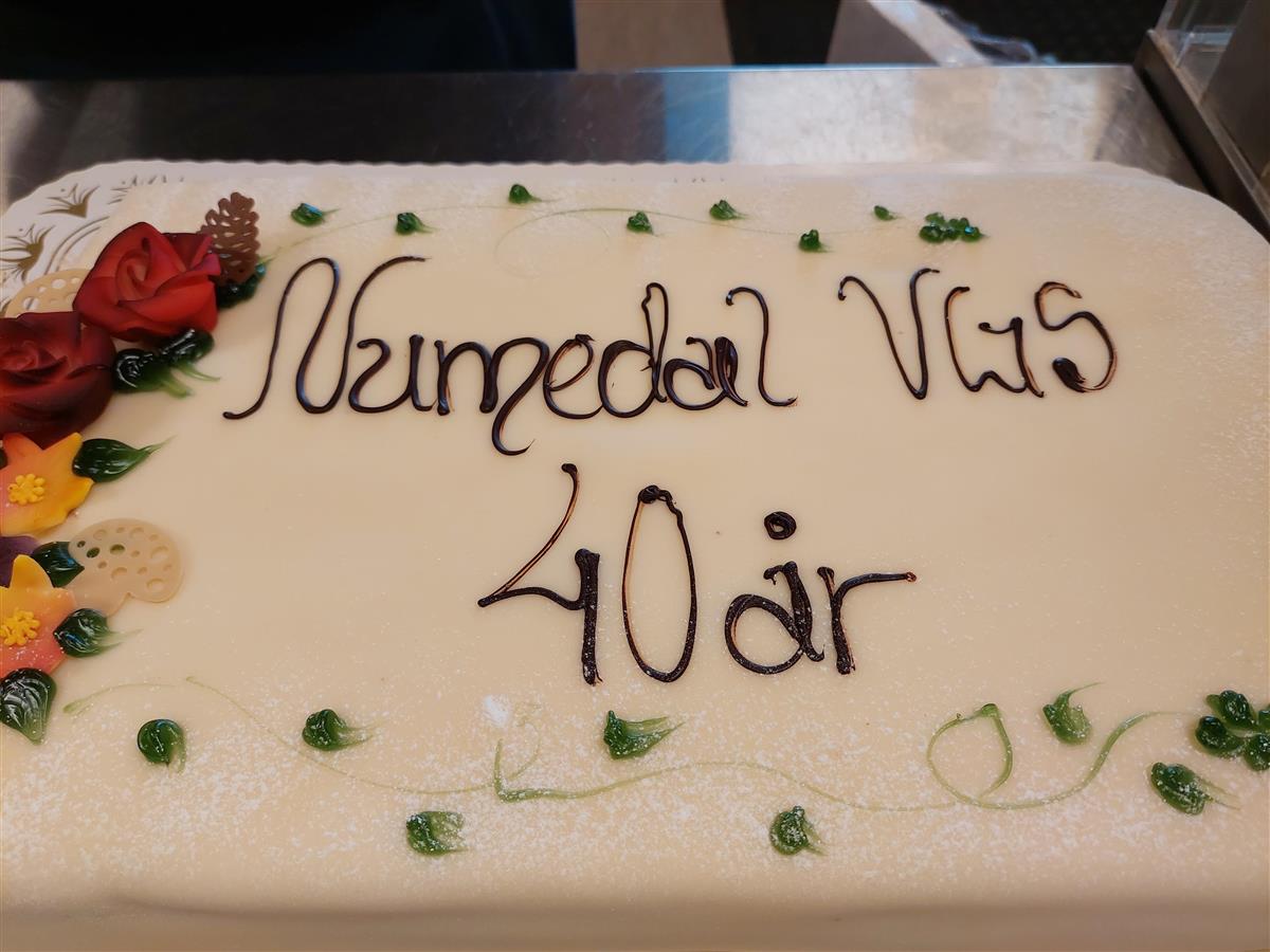 Numedal vgs: 40 år med yrkesfag og lokal stolthet! - Buskerud fylkeskommune